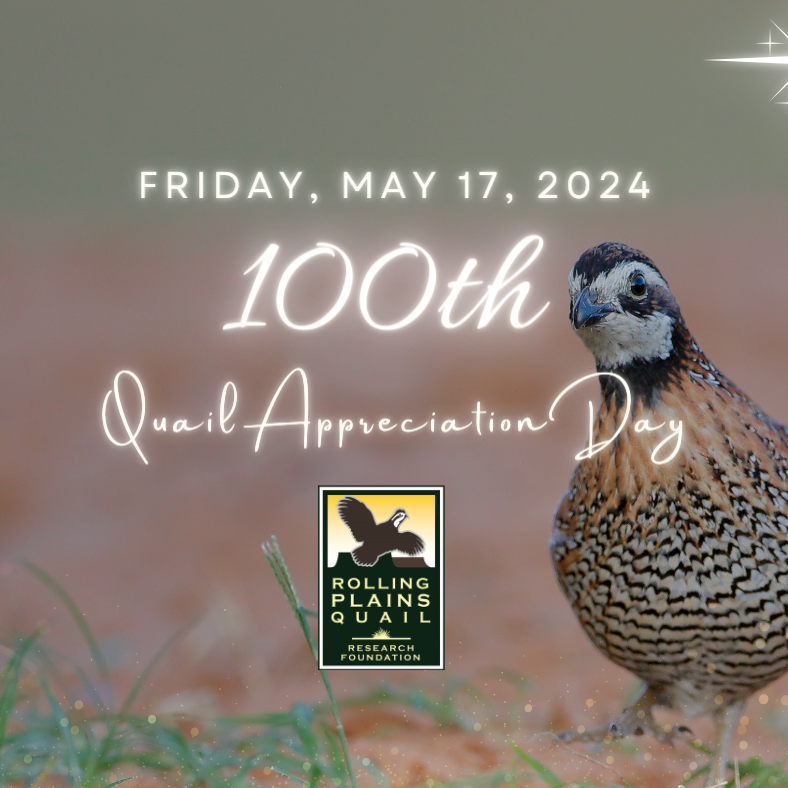 100th Quail Appreciation Day